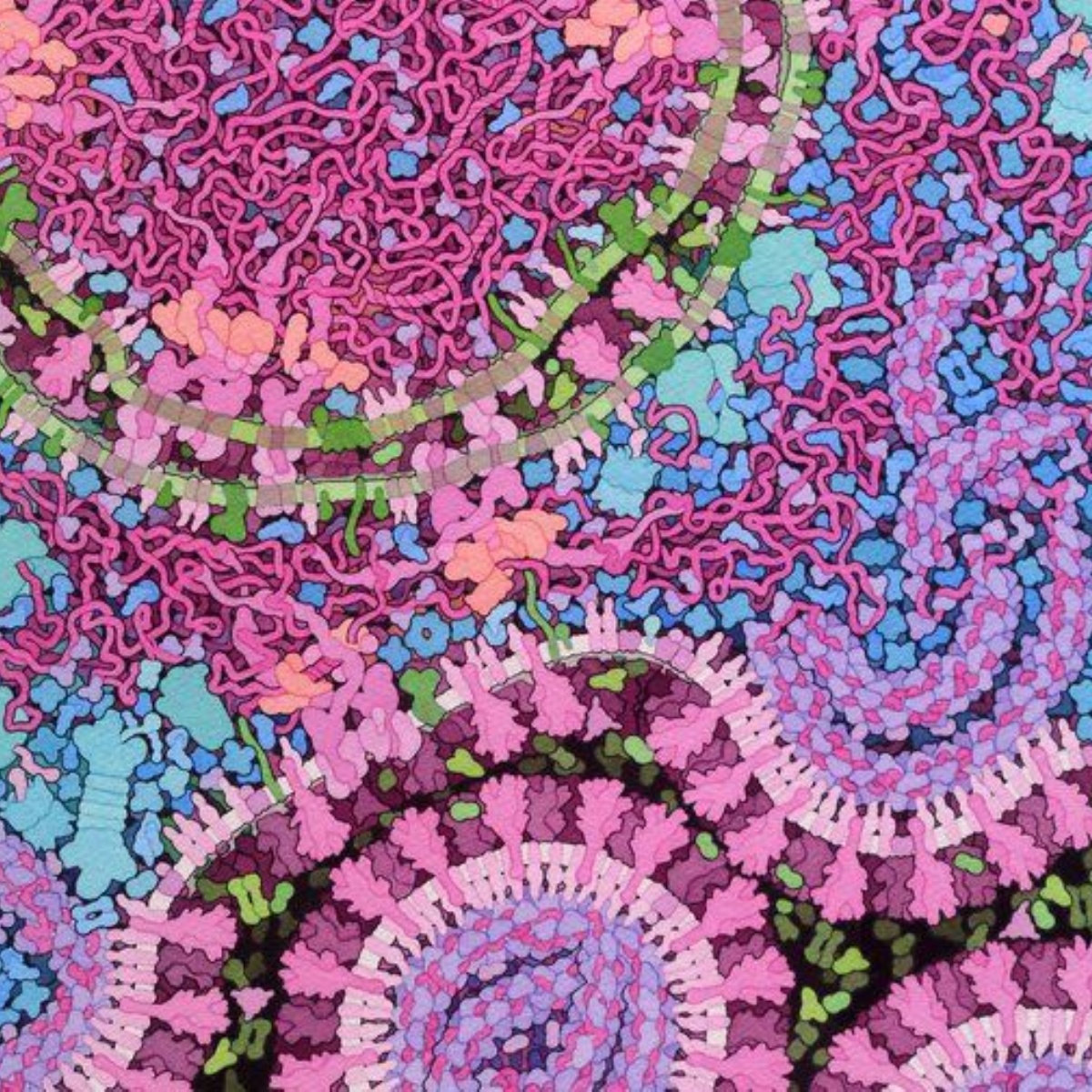 Rugby High School - Elizabeth Hooton in Year 10 wins national literacy ...